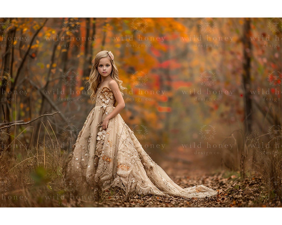 Fall Digital Backdrop, Woodland, Fine Art, Digital Background, Autumn ...