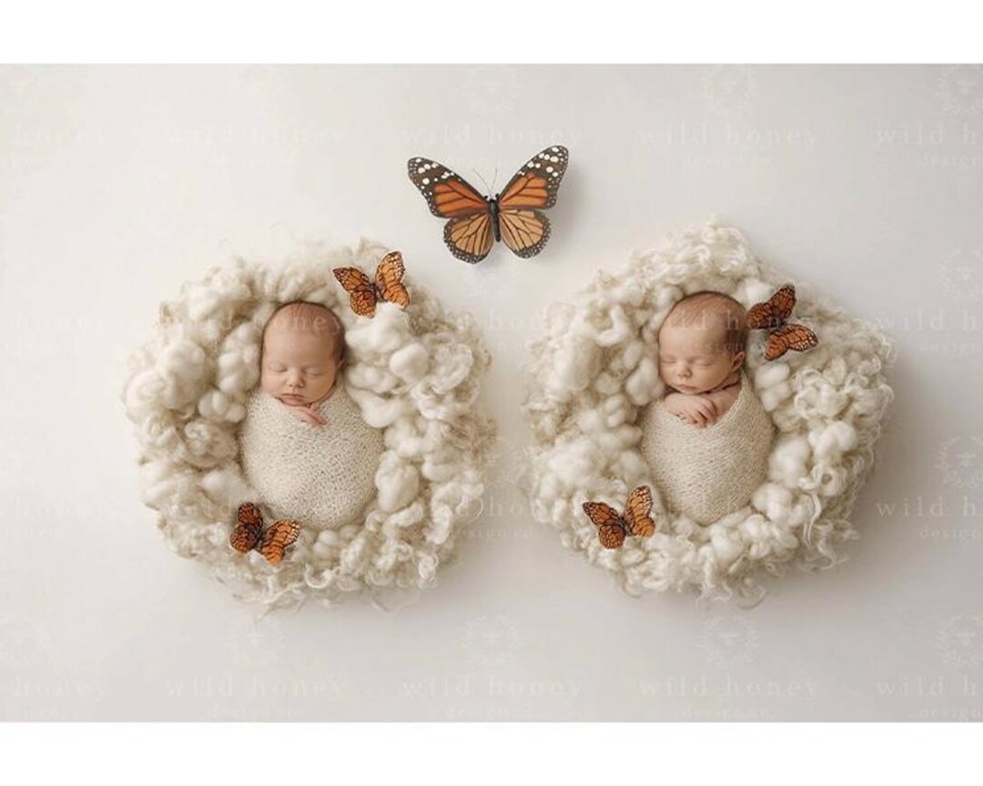 Newborn Twins Digital Backdrop: Butterfly, White Wool (digital Download ...
