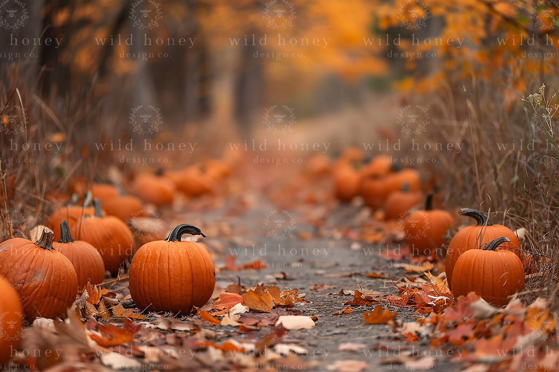 Fall Path Digital Backdrop: Pumpkins, Woodland Scene (digital Download ...
