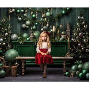 Christmas Bench Digital Backdrop: Green Holiday Studio (digital ...