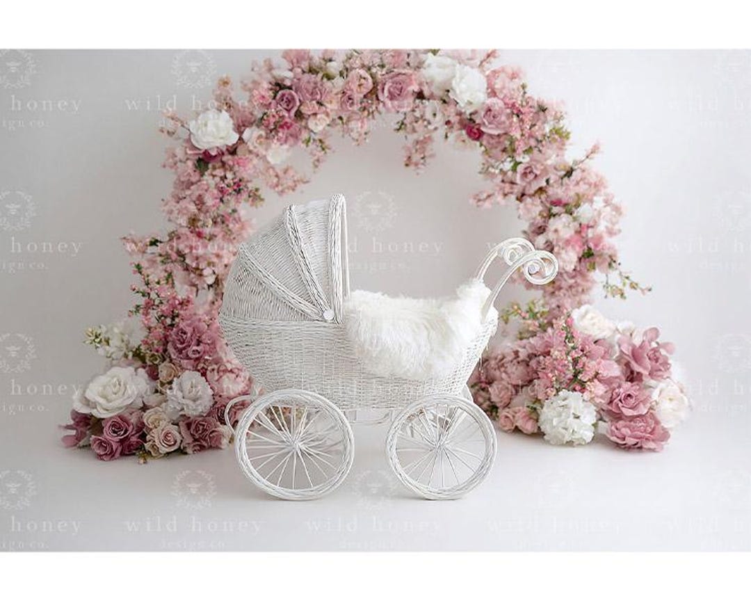 Floral Stroller Digital Backdrop: Newborn Photography Prop (JPEG 300dpi ...