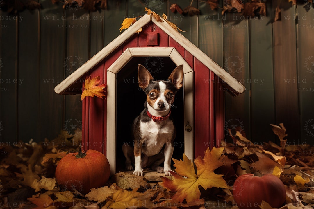 Fall Kennel Digital Backdrop, Doghouse, Pet, Dog, Autumn, Leaves ...