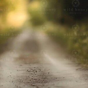 Sunny Path Digital Backdrop, Trees, Bokeh, Digital Background for ...