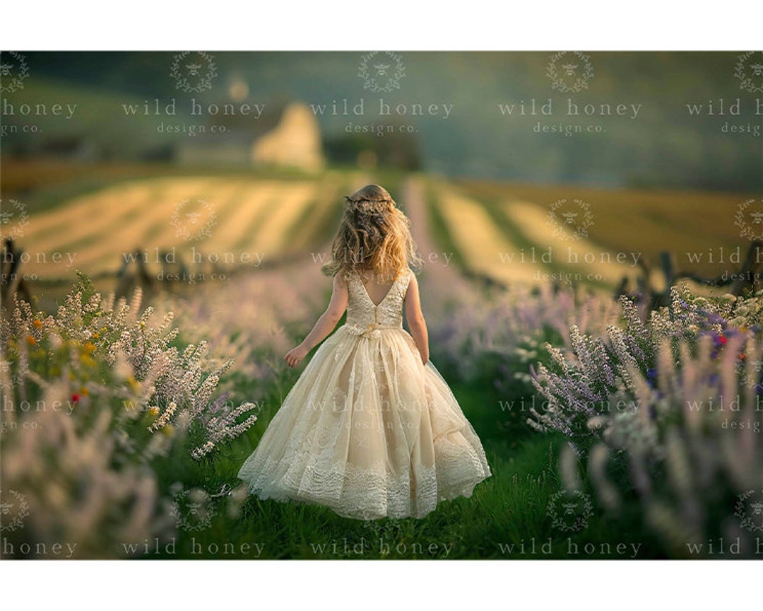 Flower Field Digital Backdrop, Farm Path, Landscape, Path, Rural ...