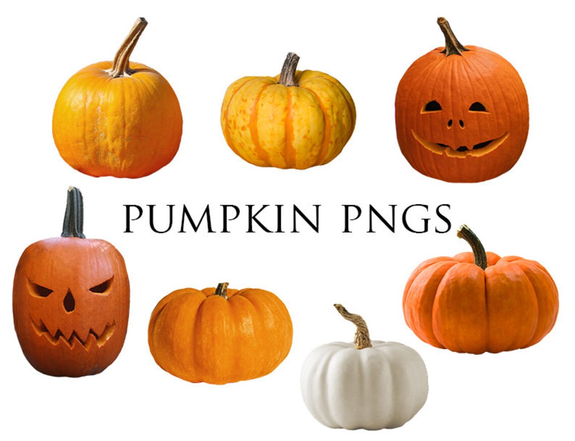 Pumpkin Overlays, PNG, Clipart, Fall, Autumn, Transparent Png's ...