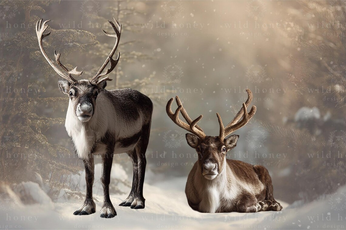 Reindeer Overlays, Photography, Clipart, Bundle, Commercial Use Pngs - Etsy