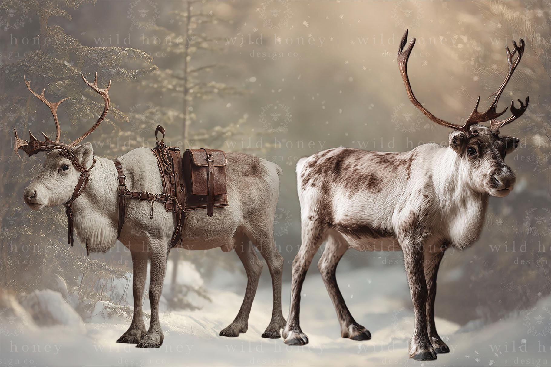 Reindeer Overlays, Photography, Clipart, Bundle, Commercial Use Pngs - Etsy