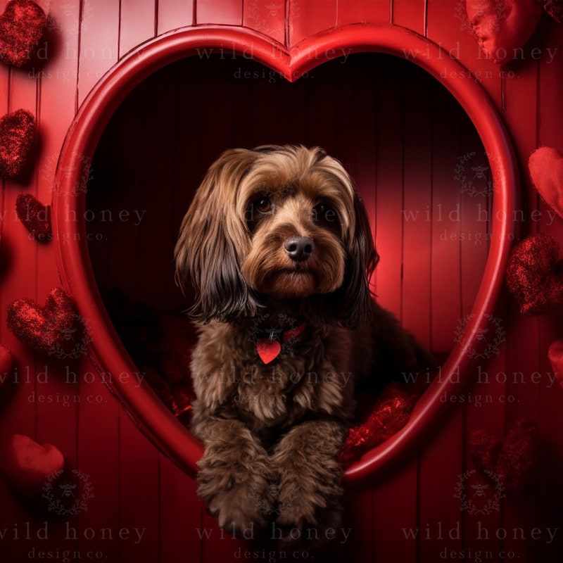Valentine Pet Back Drop - Etsy