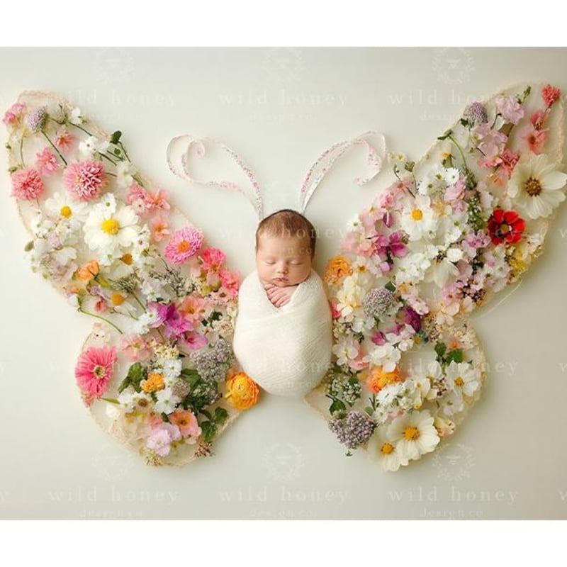 Newborn Butterfly Digital Backdrop - Etsy Canada