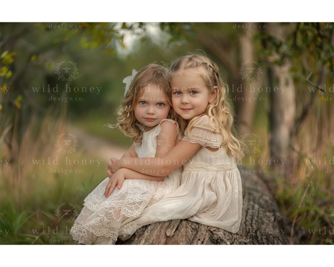 Path Fine Art Digital Backdrop, Log, Trees, Woodland, Siblings, Digital ...