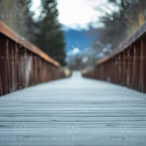 Wooden Bridge Digital Backdrop, Park, Family, Portrait Digital ...