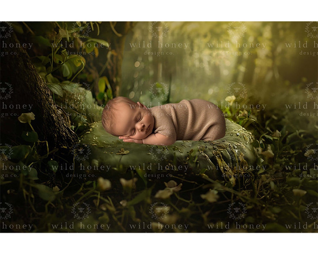 Forest Nest Digital Backdrop, Newborn Nest, Cushion, Forest, Woodland ...