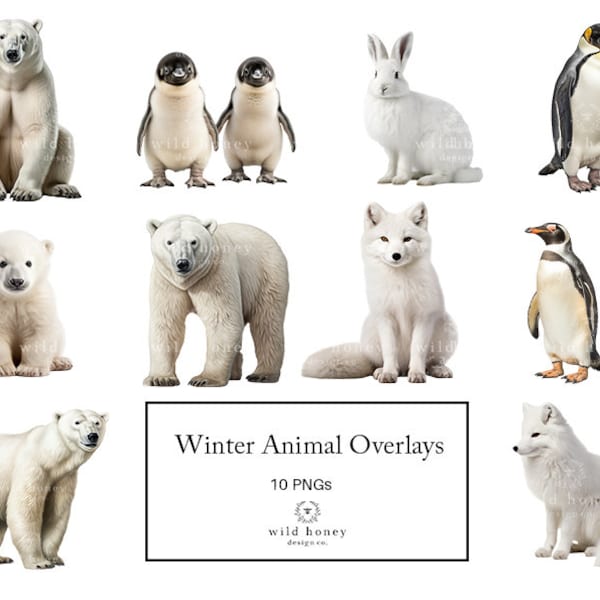 Fox and Rabbit - Etsy