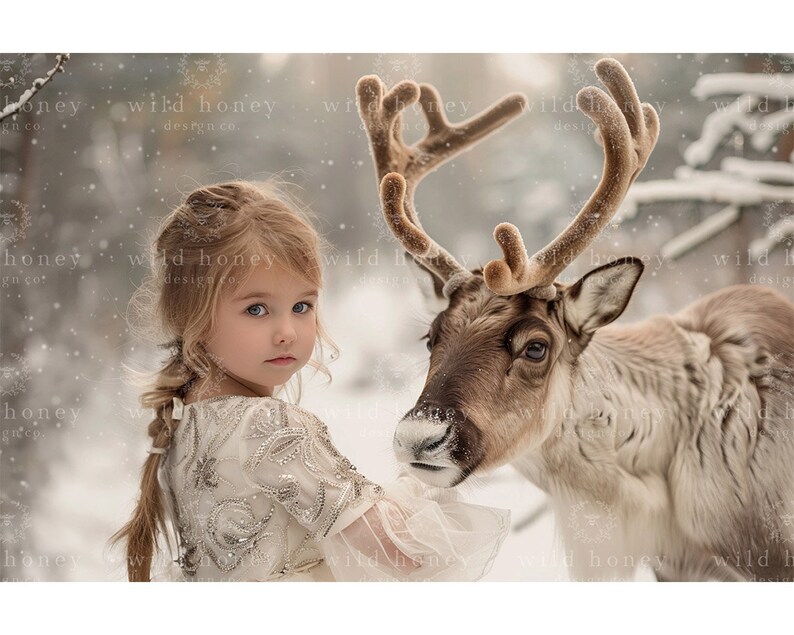 Christmas Reindeer Portrait Digital Backdrop: Winter Snow Scene ...