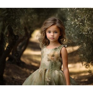 Olive Grove Digital Backdrop, Orchard, Trees, Digital Background ...