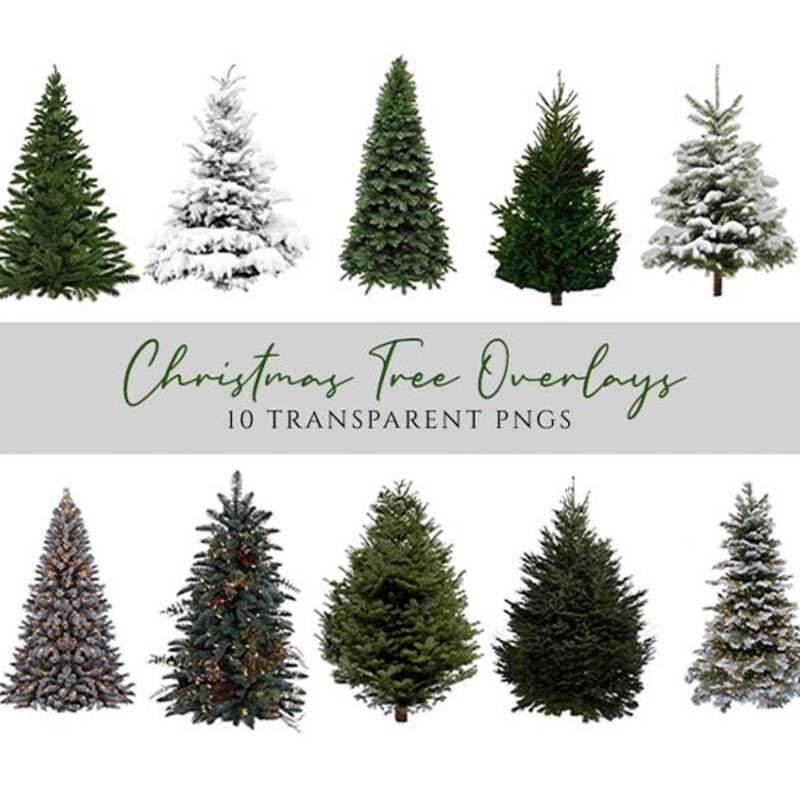 Digital Winter Tree Svg - Etsy