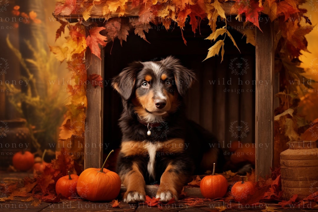 Fall Kennel Digital Backdrop, Doghouse, Pet, Pumpkins, Dog, Autumn ...