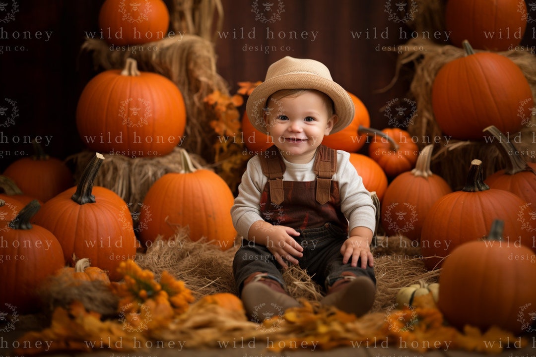 Fall Pumpkin Patch Digital Photography Backdrop (JPEG) - Etsy