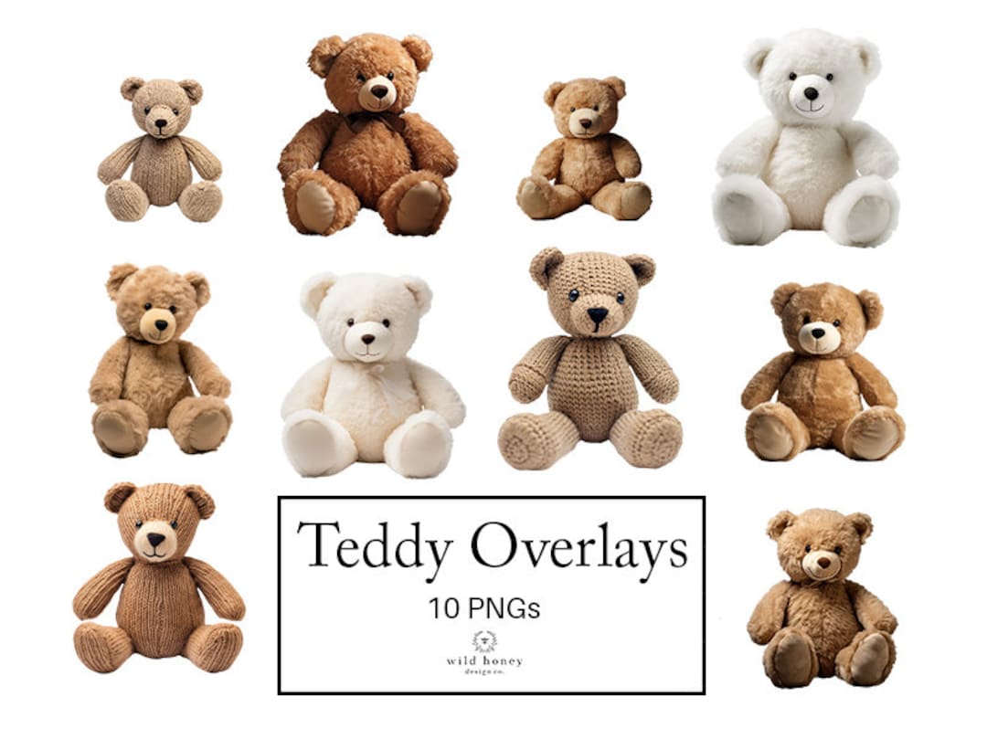 Photorealistic Teddy Bear Overlays, Clipart, 10 Pngs, Teddies, Toys ...