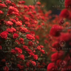 Rose Garden Digital Backdrop, Red Roses, Dreamy, Nature, Portrait ...