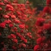 Rose Garden Digital Backdrop, Red Roses, Dreamy, Nature, Portrait ...