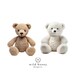 Photorealistic Teddy Bear Overlays, Clipart, 10 Pngs, Teddies, Toys ...