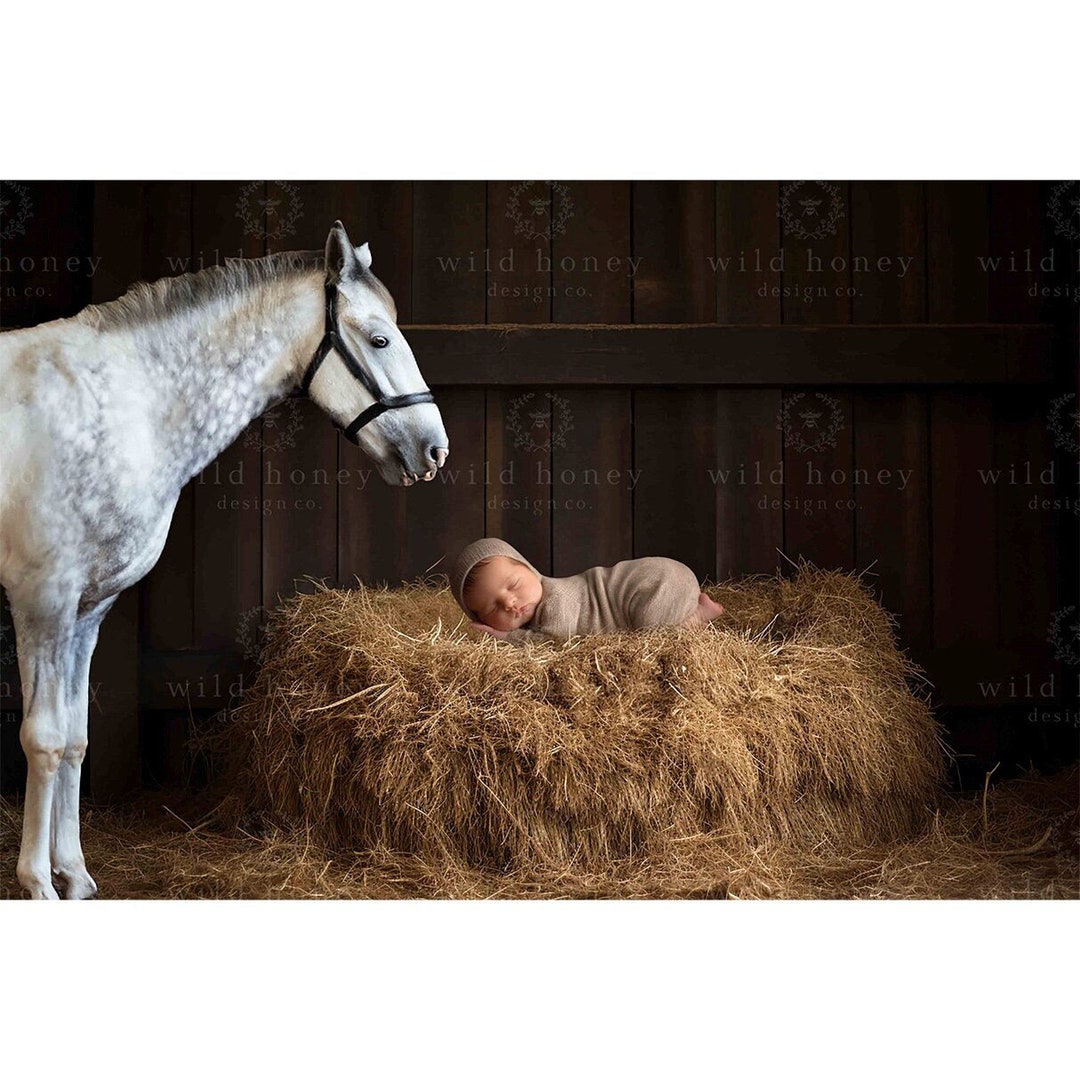 Baby in Stable Digital Backdrop, Hay Bale, Barn, Horse, Horses, Newborn ...