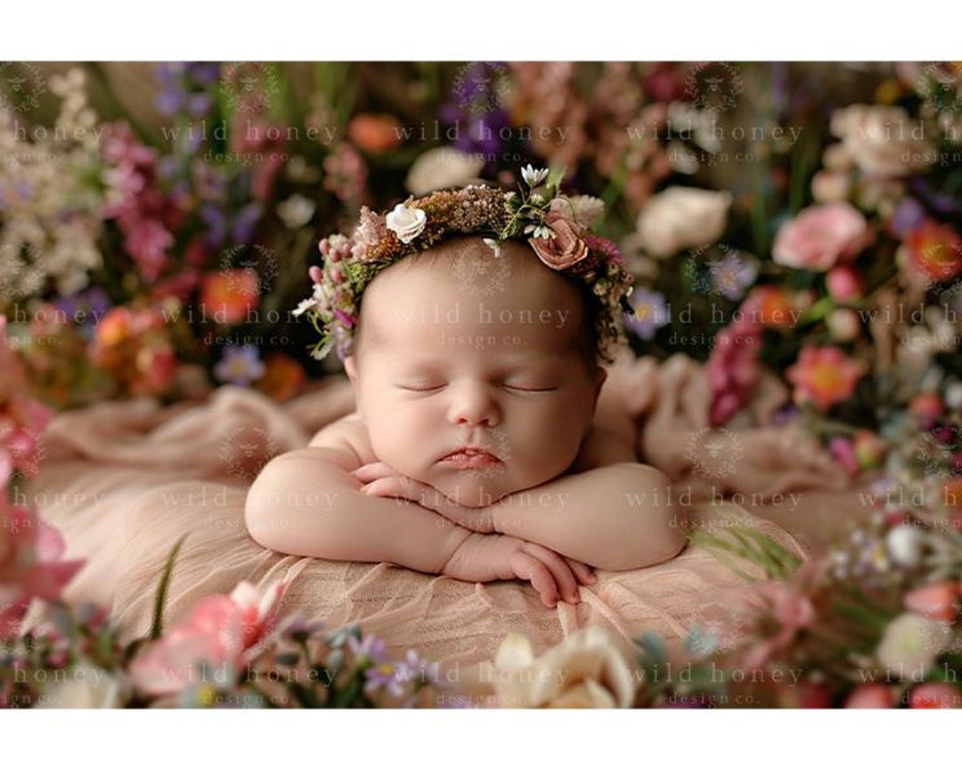 Flower Newborn Digital Backdrop, White Studio, Colorful Flowers, Pink ...