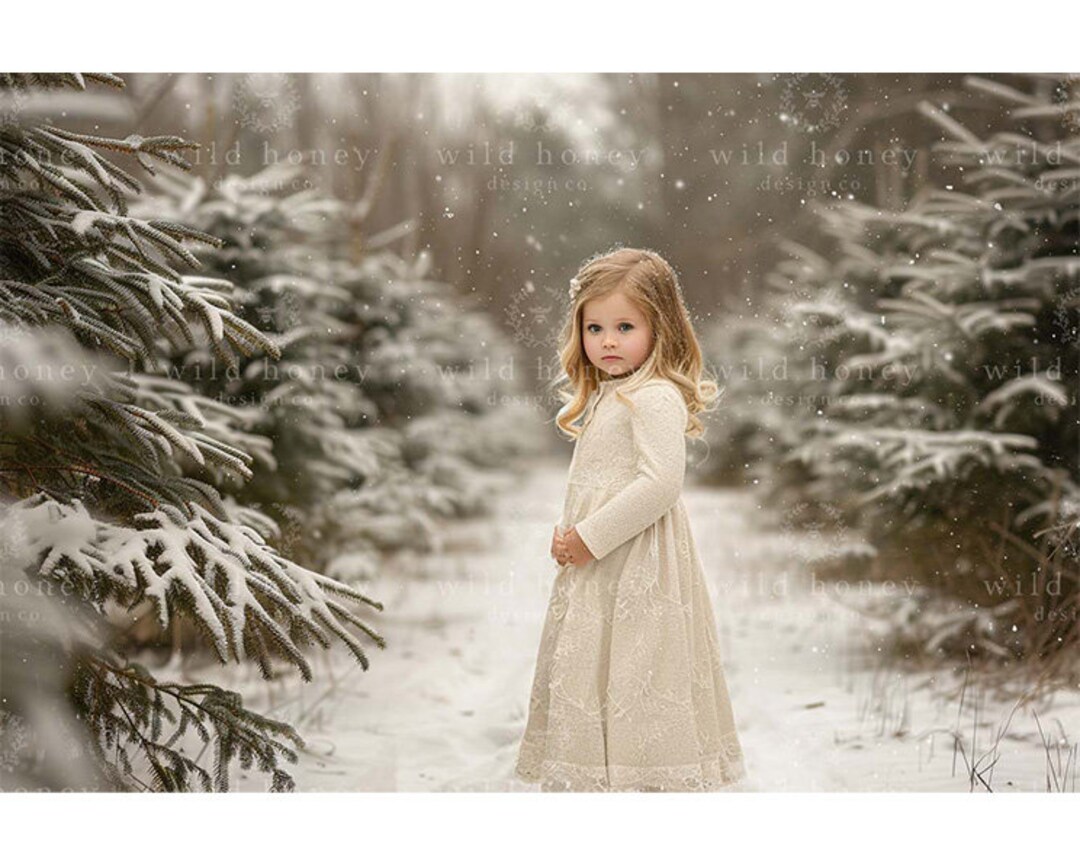 Snowy Trees Digital Backdrop, Sunny, Snow, Winter, Pine, Fir Trees ...