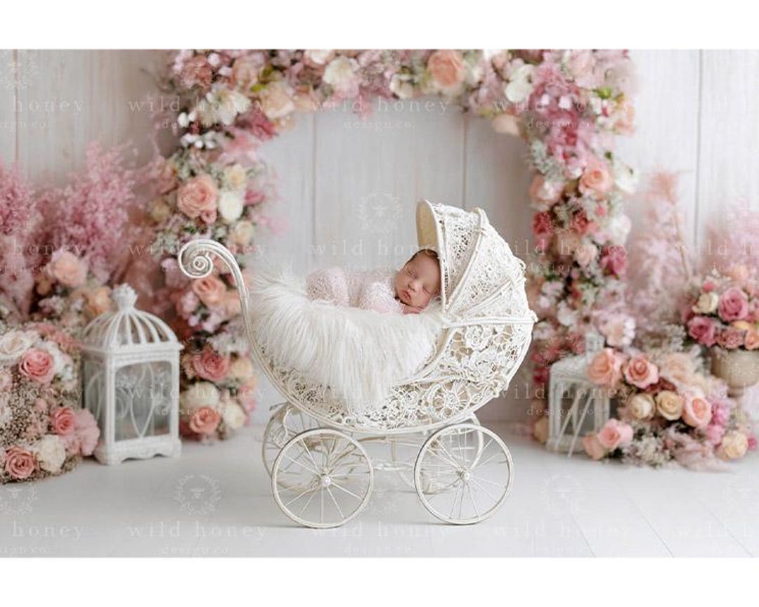 Floral Stroller Digital Backdrop: Vintage Newborn Photography (JPEG ...