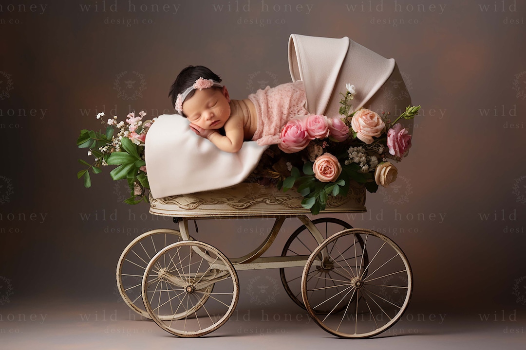 Newborn Vintage Stroller Digital Backdrop, Flowers, Pram, Floral, Baby ...