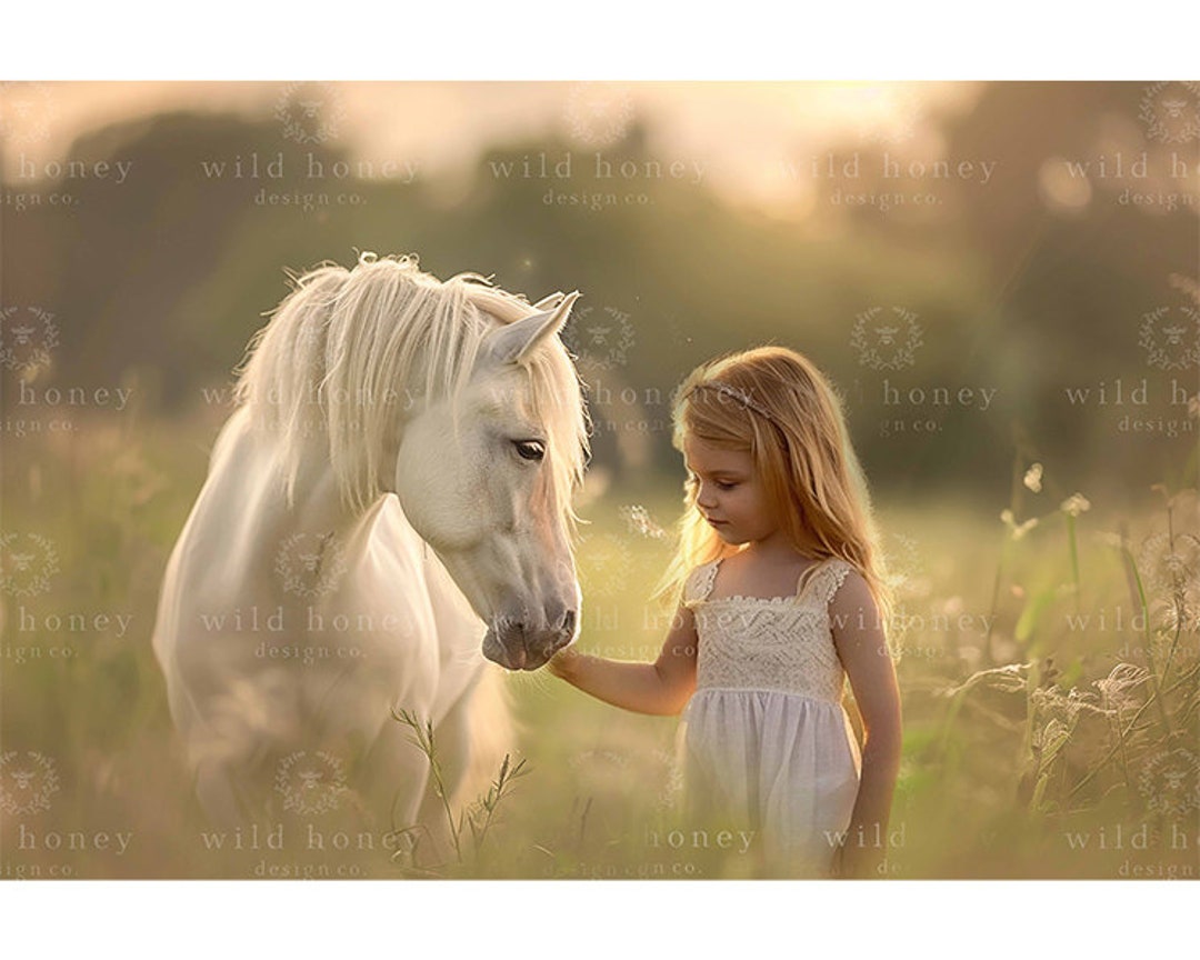 White Horse Digital Backdrop, Pony, Field, Farm, Digital Background for ...