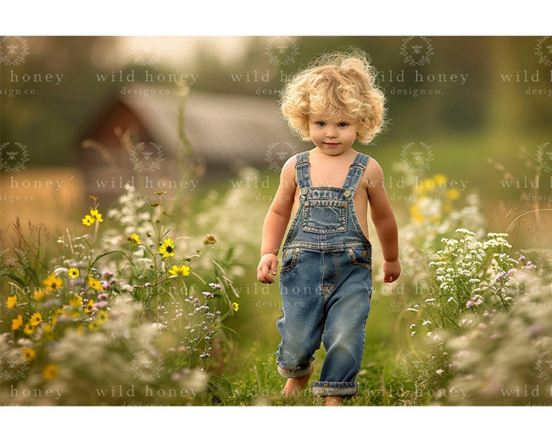 Landscape Digital Backdrop, Farm Path, Flowers, Fields, Path, Barn ...