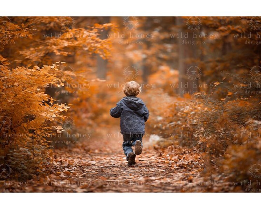 Fall Path Digital Backdrop: Autumn Leaves Portrait Background (JPEG) - Etsy
