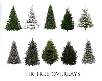 Digital Overlays Christmas - Etsy