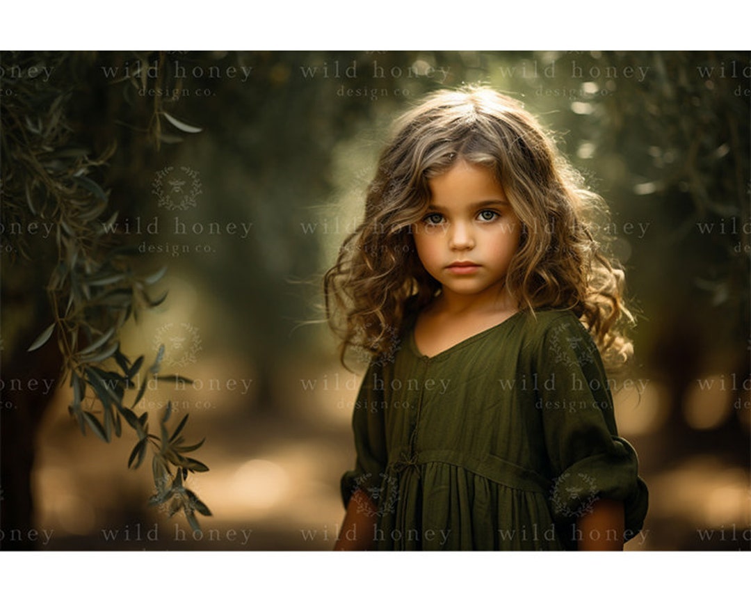 Olive Grove Digital Backdrop: Orchard, Trees (digital Download) - Etsy