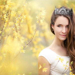 Crown Overlays, Png's, Baby Crown, Diamond Crown, Tiara, Star Crown ...