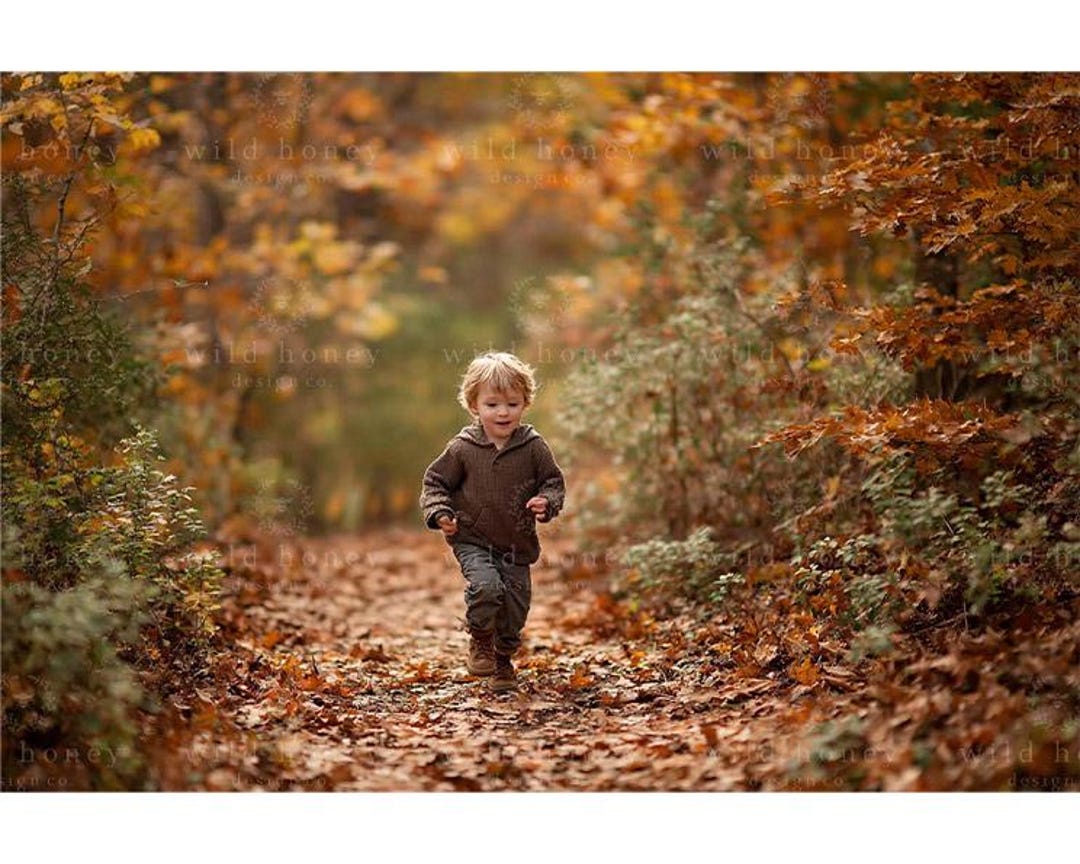 Fall Path Digital Backdrop: Autumn Leaves Portrait Background (JPEG) - Etsy