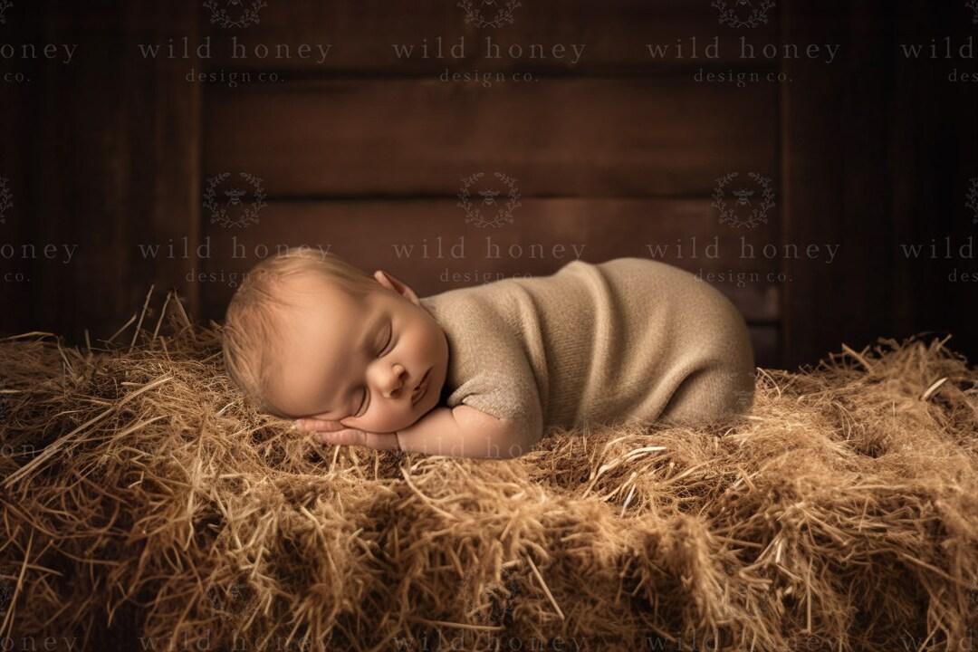Farm Baby Digital Backdrop: Hay Bale, Barn (digital Download) - Etsy