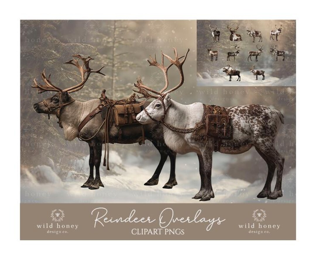 Reindeer Overlays, Photography, Clipart, Bundle, Commercial Use Pngs - Etsy
