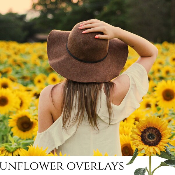 Sunflower Photo Overlay - Etsy