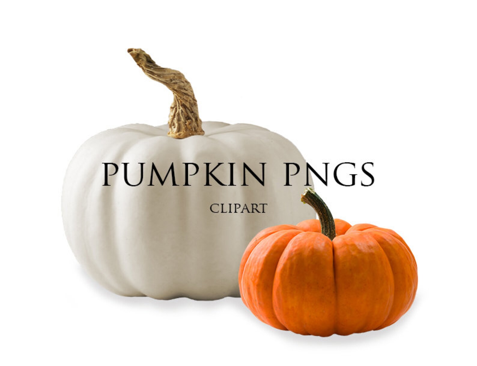Pumpkin Overlays PNG Clipart Fall Autumn Transparent - Etsy