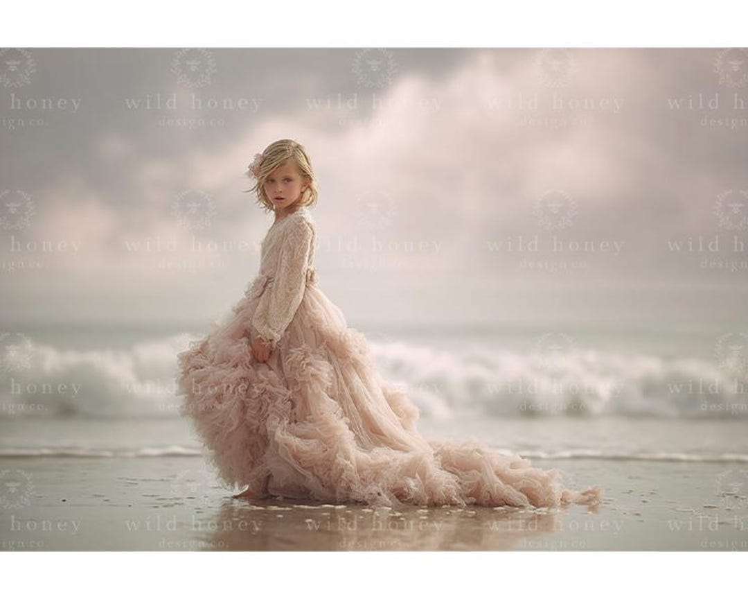 Beach Digital Backdrop, Clouds, Shoreline, Ocean, Background, Portrait ...