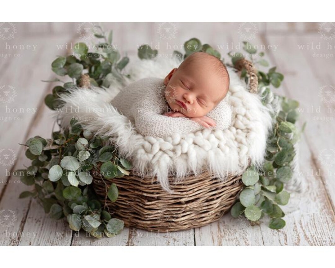 Newborn Basket Digital Backdrop: Wicker, Green Leaves, Eucalyptus ...