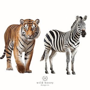 Photorealistic Zoo Animals Overlays, Clipart, 10 Pngs, Wild, Safari ...