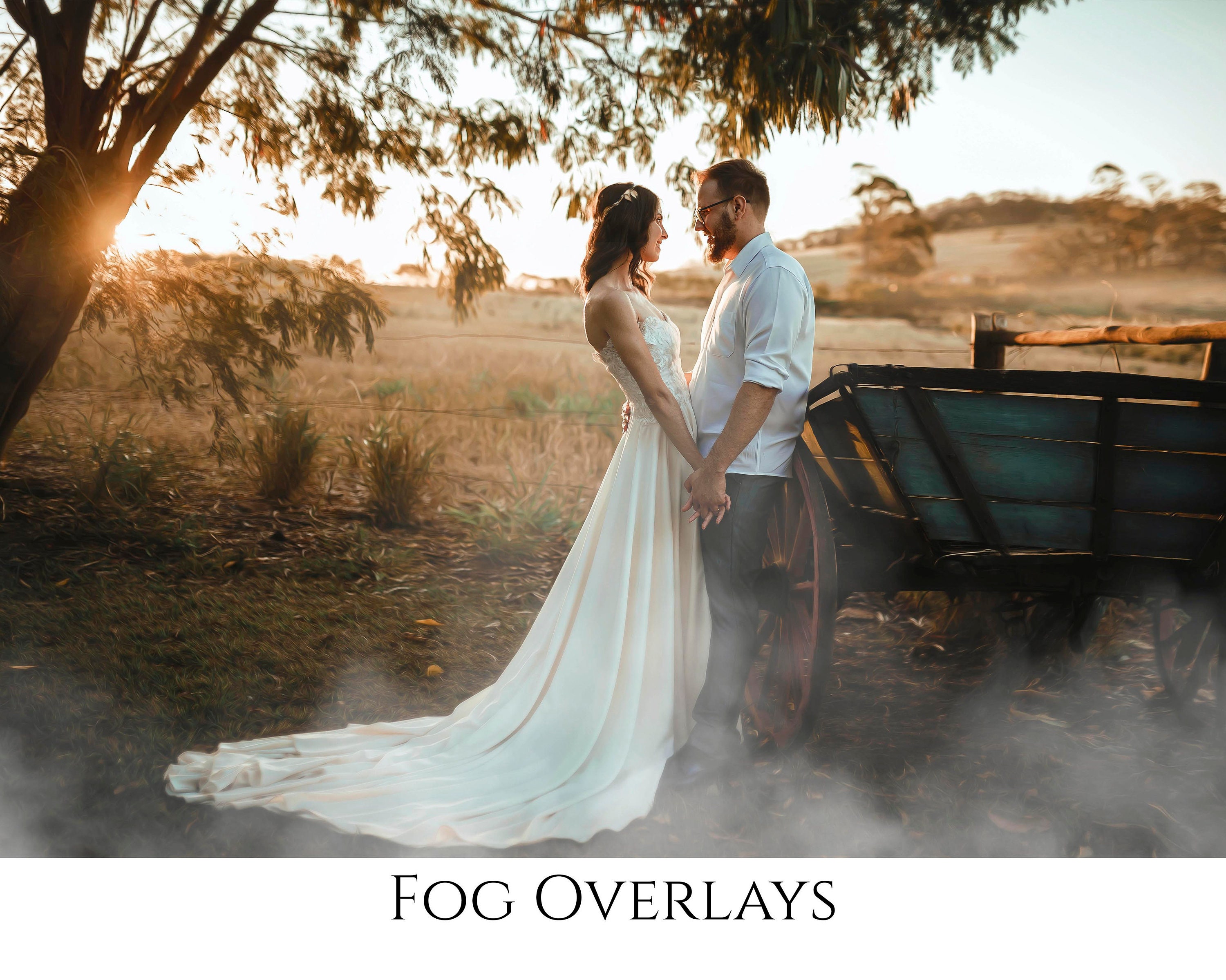 Fog Photography Overlays: Haze, Mist, Ground Fog (PNG) - Etsy