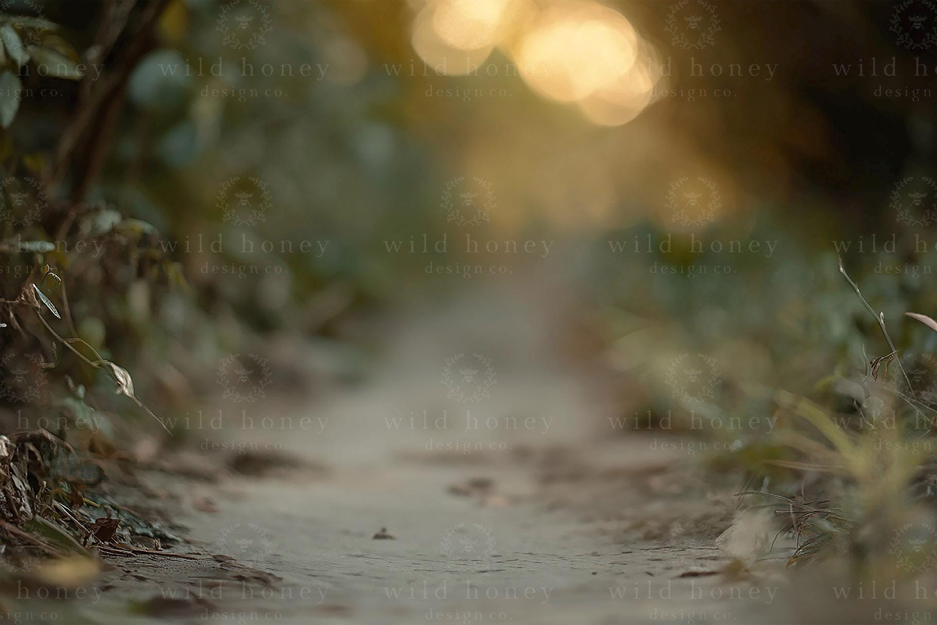 Green Path Digital Backdrop, Leaves, Nature, Summer, Bokeh, Digital ...