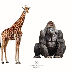 Photorealistic Zoo Animals Overlays, Clipart, 10 Pngs, Wild, Safari ...