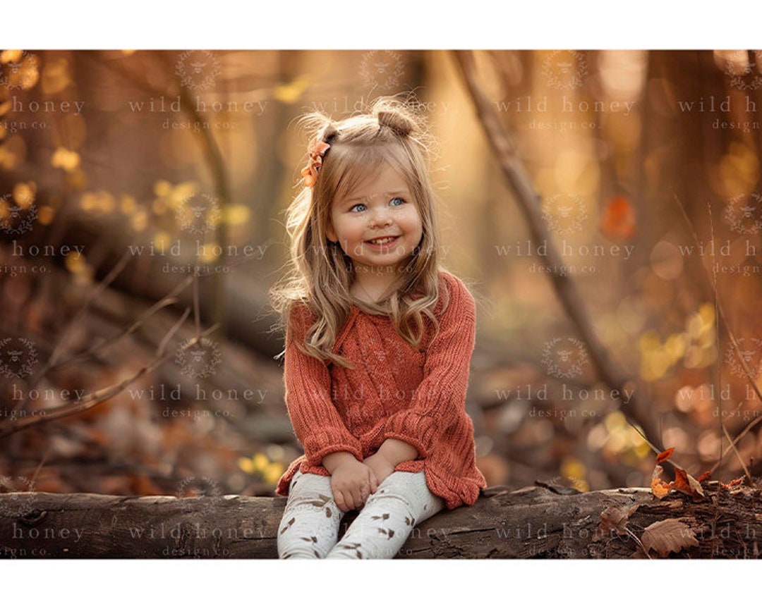 Fall Woodland Digital Backdrop, Log, Fall, Autumn, Leaves, Forest ...