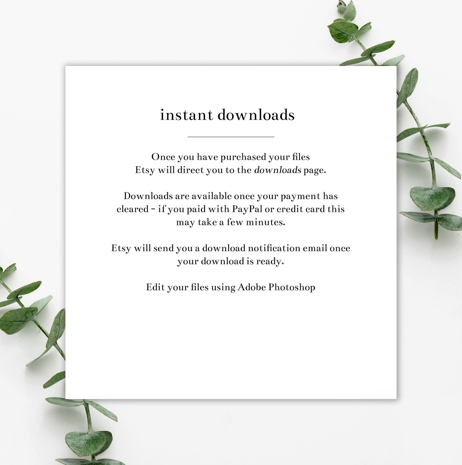 Cactus Desert Photography Digital Backdrop: Golden Hour Haze (digital ...